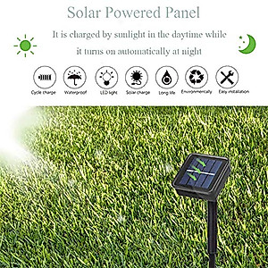 PXBNIUYA 220 LED Solar Firefly Bunch Lights, Fairy Copper Wire Waterproof Decorative Light, 8 Flashing Modes, Solar Vine Waterfall Watering Can Light, Outdoor Patio Garden Light (No Watering Can)