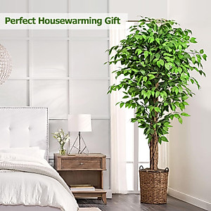 Keeplush 6.2ft. Ficus Artificial Trees with 3 Natural Curved Trunks, 74" Tall Lush Faux Tree for Home Decor Indoor, Green Lifelike Fake Ficus Tree Artificial Plants