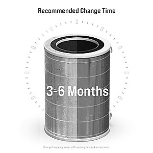 TOPPIN Filter Replacement H13 True HEPA Air Filter for TOPPIN TPAP005 AP005 TP-AP005 Air Purifier to Clean Pets Hair Smoke Odors Dust Pollen Home and Room 1500 to 2000 sq ft