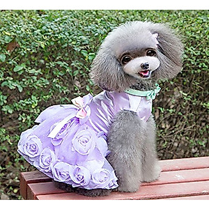 SMALLLEE_LUCKY_STORE Pet Small Dog Wedding Dress with Bowknot Birthday Party Costume Satin Rose Pearls Girl Formal Dress Cat Tutu Purple Violet XXL