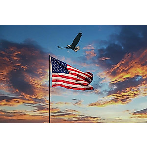 This 4x6 ft American Flag For Outside, USA Flags Strongest, Longest Lasting, Heavy Duty Nylon, Embroidered Stars, Sewn Stripes, Brass Grommets Perfect for Outdoors! Premium US Flag