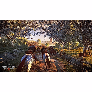 The Witcher: Wild Hunt (Comic Bundle) - PlayStation 4