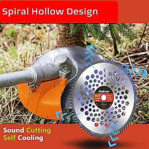 Rokrou 2 Pack Weed Eater Blades Brush Cutter Blades 10" 80T &10" 40T, Grass Cutter Trimmer with Washer 25.4mm/1" to 20mm/0.78"