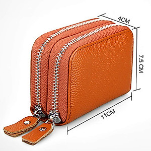 Small Soft Leather Wallet For Women, RFID Blocking Ladies Card Holder with Zipper Pocket C-B-B2 (Brown)