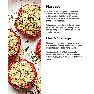 Burpee Great Stuff Sweet Pepper Seeds 40 seeds