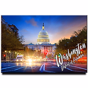 Washington Fridge Magnet District of Columbia Travel Souvenir US Capitol