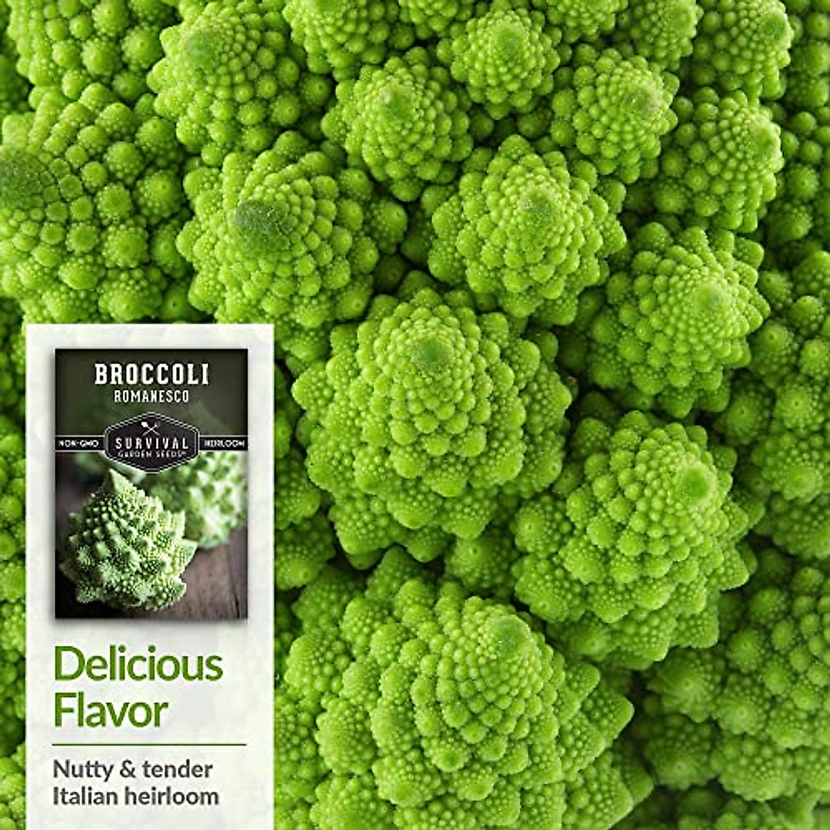 Survival Garden Seeds - Romanesco Broccoli for Planting - Packet with Instructions to Plant and Grow Delicious & Beautiful Fractal Broccoli Heads Your Home Vegetable Garden - Non-GMO Heirloom Variety