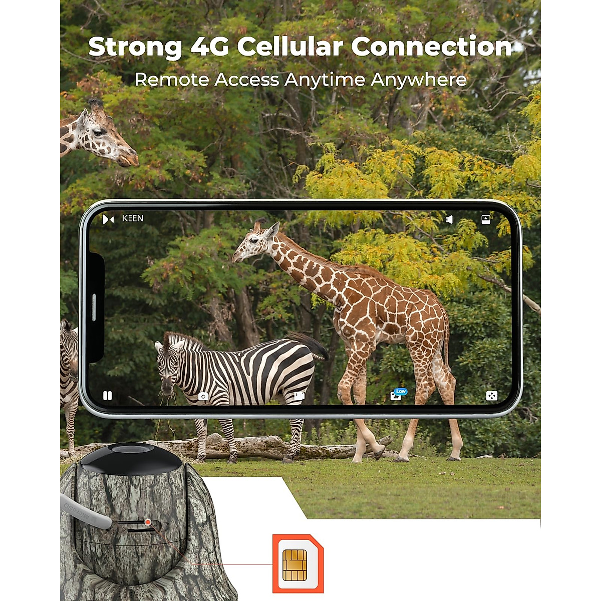 REOLINK KEEN Ranger PT Cellular Trail Camera, 3G/4G LTE, 360° Full View, 2K Live Video&Playback on Phone, No-Glow IR, Solar Powered Game Camera, 2K Night Vision, Smart Motion Activated, No WiFi Needed