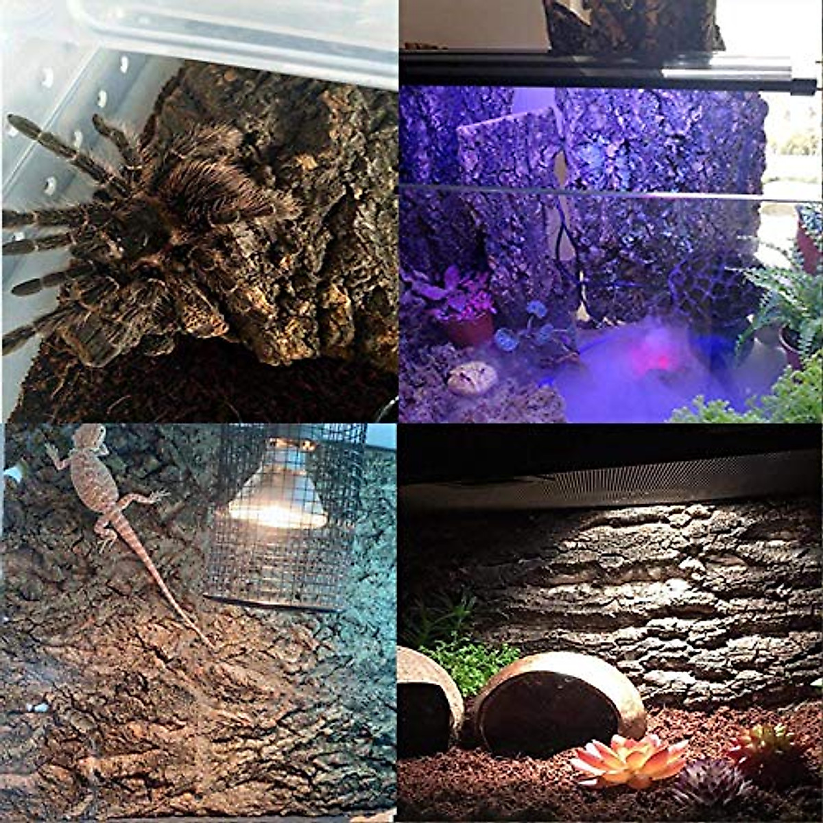 Cork Terrarium Background Natural Cork Bark Backdrop Reptile Climbing Mat Habitat Decor for Spider Lizard Chamelon Turtle Beared Dragon(2 PCS)