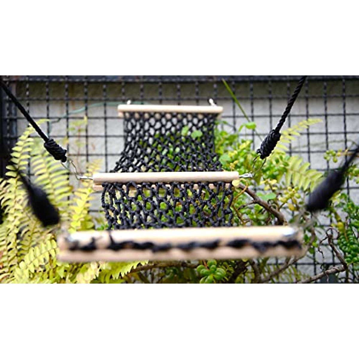 BuyLover -Chameleon Accessories cage, Reptile Hammock Climbing- Bird Ladder, Bearded Dragon, Hamster Bridge, Chicken coops Swing, Rat Toys, Parakeet, Terrarium Decor- 1 pc 22" H x 5" L