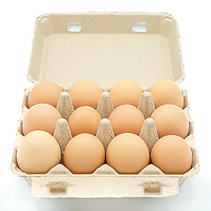 Bulk Classic 3x4 Style Egg Cartons | Holds 12 Large Eggs | Eco-Friendly Material (70 pack)