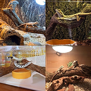 Reptile Decor Natural Forest Branch Terrarium Habitat Driftwood Decoration Lizard Climbing Tree Branch for Bearded Dragon Gecko Snake Frog Chameleon Spider 4PCS