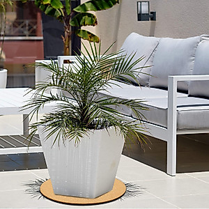 3 Pieces Cork Plant Mat Round Cork Plant Coasters DIY Cork Pad Plant Plate Pad for Gardening, Indoor and Outdoor Pots, DIY Craft Project (Nude and Black, 6 Inches, 8 Inches, 10 Inches)