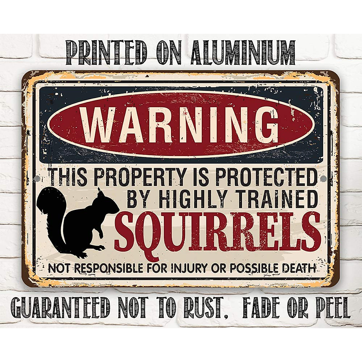 Metal Sign - Warning Property Squirrels - Durable Metal Sign - Use Indoor/Outdoor - Cute and Funny Garden Decor and Gift Under $20 (8" x 12")