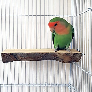 Hamiledyi 4 Pcs Wood Bird Perch Platform Branches Natural Wooden Parrot Stand Paw Grinding Sticks Bird Cage Accessories for Parrots Parakeets Budgies Conures Cockatiels Lovebirds