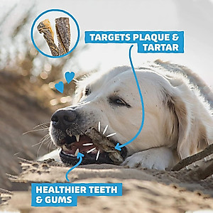 SKIPPER'S Cod Fish Skin Twists Dog Chews - 100% Fish Skin Grain Free Treats for Dogs, High in Protein & Low in Fat, Essential Omega 3 Oils | Great for Teeth (Regular, 9 Oz)