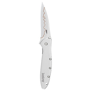 Kershaw Leek Composite Blade Folding Pocketknife, 3" D2 Steel and 14C28N Stainless Steel Blade, Assisted Opening Folding EDC