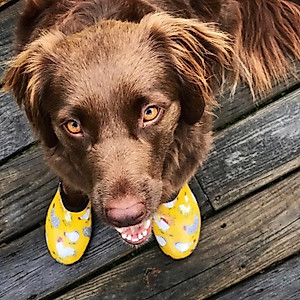 Sloggers Original Waterproof Rain and Garden Shoe for Women– Outdoor Slip-On Garden Clog - Made in The USA with Premium Comfort Insole and Arch Support - Chickens Daffodil Yellow, Size 8