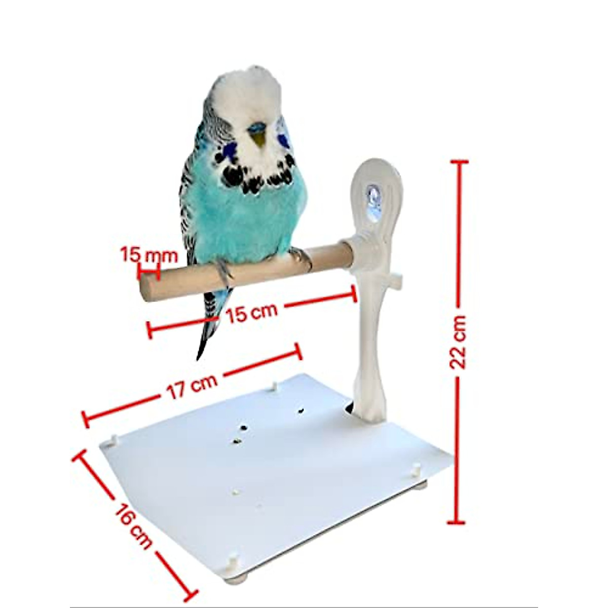 Stick On Bird Perch/Window Perch for Small - Medium Birds. (Has Removable Droppings Tray) Portable Shower Bird Perch Stand