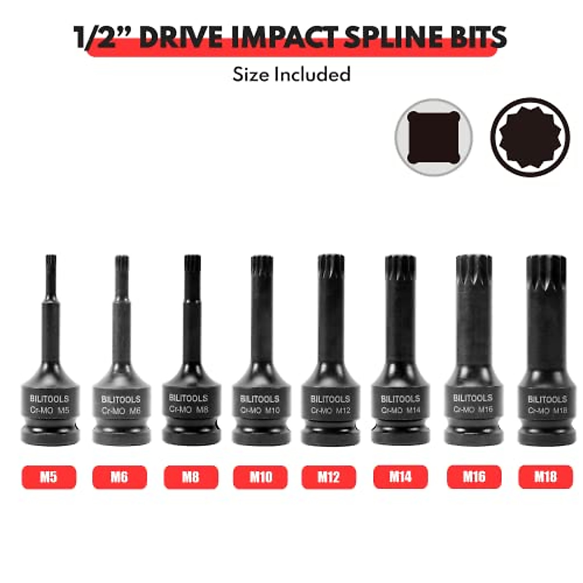 BILITOOLS 8-Piece Impact XZN Triple Square Spline Bit Socket Set 1/2 inch Drive, M5-M18, Cr-Mo Steel