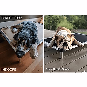 K9 Ballistics Chew Proof Elevated Dog Bed XXL - Chewproof - Aluminum - Ripstop Ballistic Fabric - Indestructible, Heavy Duty Dog Bed - Fits Inside XX-Large Crates 50"x33", Obsidian Black