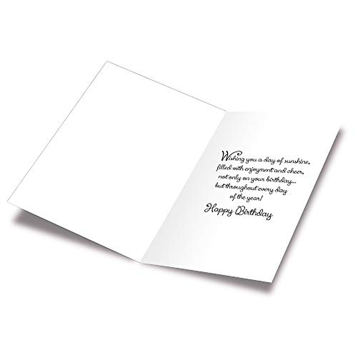 Granddaughter Birthday Card | Made in America | Eco-Friendly | Thick Card Stock with Premium Envelope 5in x 7.75in | Packaged in Protective Mailer | Prime Greetings (Birthday Present)