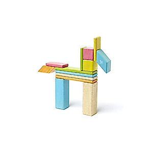 Tegu 14 Piece Magnetic Wooden Block Set in Tints