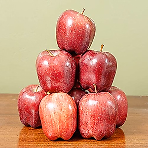 PERFECT PLANTS Red Delicious Apple Tree 1 Gallon | Live Fruit Trees for Outdoor Planting | Fast Growth Rate Produces Fruit in Year 2-3 | Sweet & Healthy Red Apples for Home Gardening