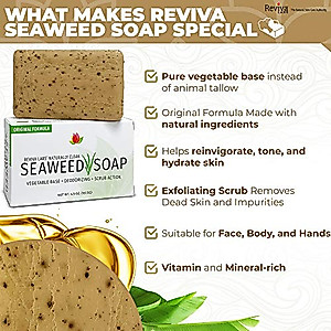 Reviva Seaweed Soap - 6 Pack - Organic Seaweed Face Scrub and Exfoliating Body Scrub Soap Bar - 4.5 oz. Vegetable Base Natural Bar Soap and Seaweed Bath Detox Soap Made in the USA