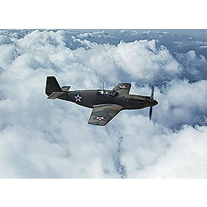 North American P-51 Mustang WW2 Warbird A-36 F-51 Korea old films DVD