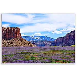 AMERICA THE BEAUTIFUL postcard set of 20. Post card variety pack depicting United States travel sites and American theme postcards. Made in USA.