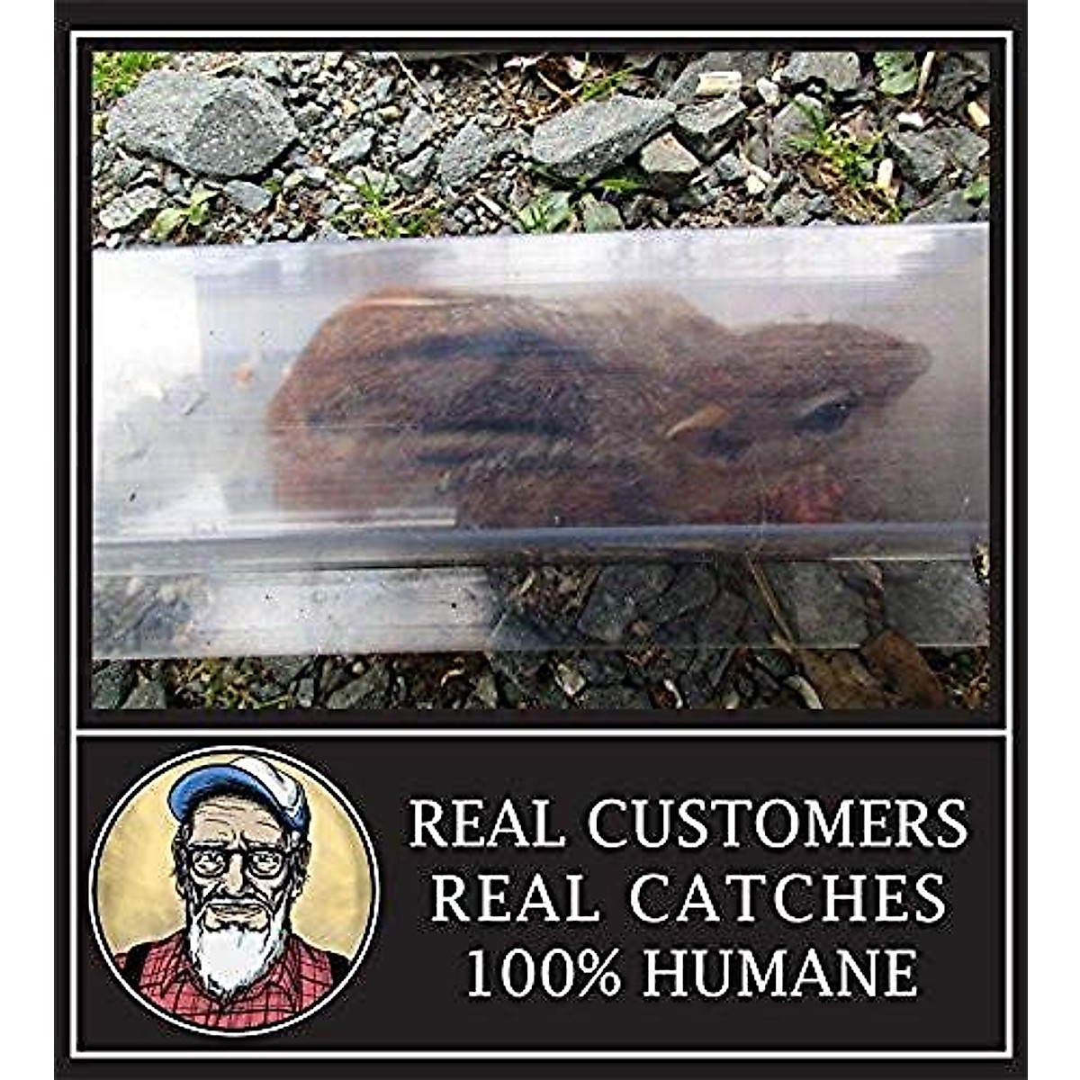 Grandpa Gus's CCT-2 Humane Live Catch & Release Critter & Rodent Trap, Indoor/Outdoor Reusable with No Poison/Glue & No Killing (Pack of 2)