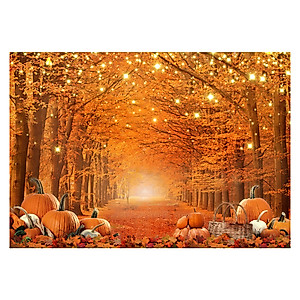 Allenjoy 7 x 5 FT Fall Photography Backdrop Thanksgiving Party Supplies Autumn Pumpkin Friendsgiving Background Decor Photo Booth Props
