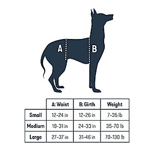 PetSafe CareLift Support Harness - Full Body Dog Lift Harness with Handle & Shoulder Sling - Great for Elderly Dogs, Hip Dysplasia, ACL Surgery - Designed to Help Them Up - Adjustable - Large