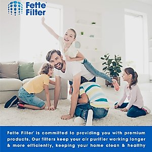 Fette Filter - Premium Air Purifier Filter Replacement Compatible with Dyson HP06, HP09, TP06, TP09, PH01, PH02, PH03, PH04, HP07, TP07 (Part No.970341-01 & 965432-01) - Pack of 1