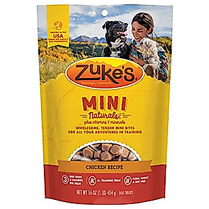 Zuke's Mini Naturals Dog Training Treats, Salmon Recipe, Soft Mini Dog Treats with Vitamins & Minerals, Made for All Breed Sizes (Chicken, 16 Ounce (Pack of 2))