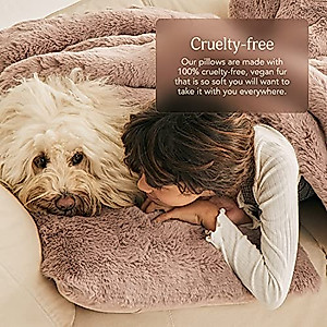 UnHide Squish - Faux Fur Pillow - Extra Soft Throw Pillow - Square Shaped Pillow, Polyester Fill - Machine Washable - Perfect for Living Room, Bedroom, or Guest Room - 20” x 20” - Silver Lynx
