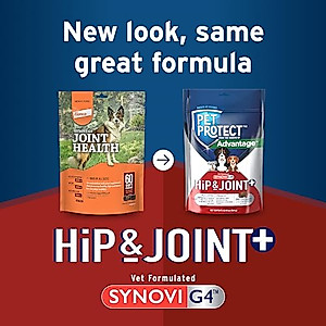 Synovi G4 Dog Joint Supplement Chews, 240-Count, for Dogs of All Ages, Sizes and Breeds