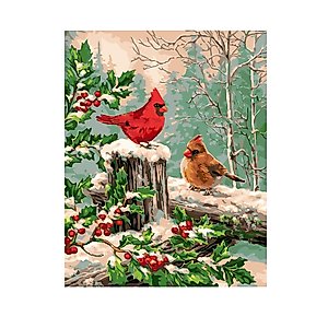 CNPanda DIY Paint by Number Kits for Adult Beginner,Acrylic Watercolor Painting Canvas,16x20 Inch - Two Cardinals in The Snow, Drawing with Brushes Winter Home Decor Christmas Gifts (without Frame)