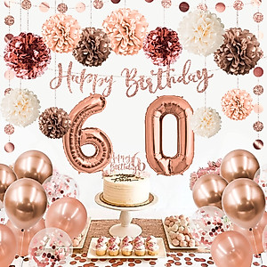 60th Birthday Party Decorations Rose Gold Decor Party Supplies Tissue Pom Poms Paper Circle Dots Garlands, Hanging Party Supply Set for 60th Anniversary Decorations Birthday Party Backdrop