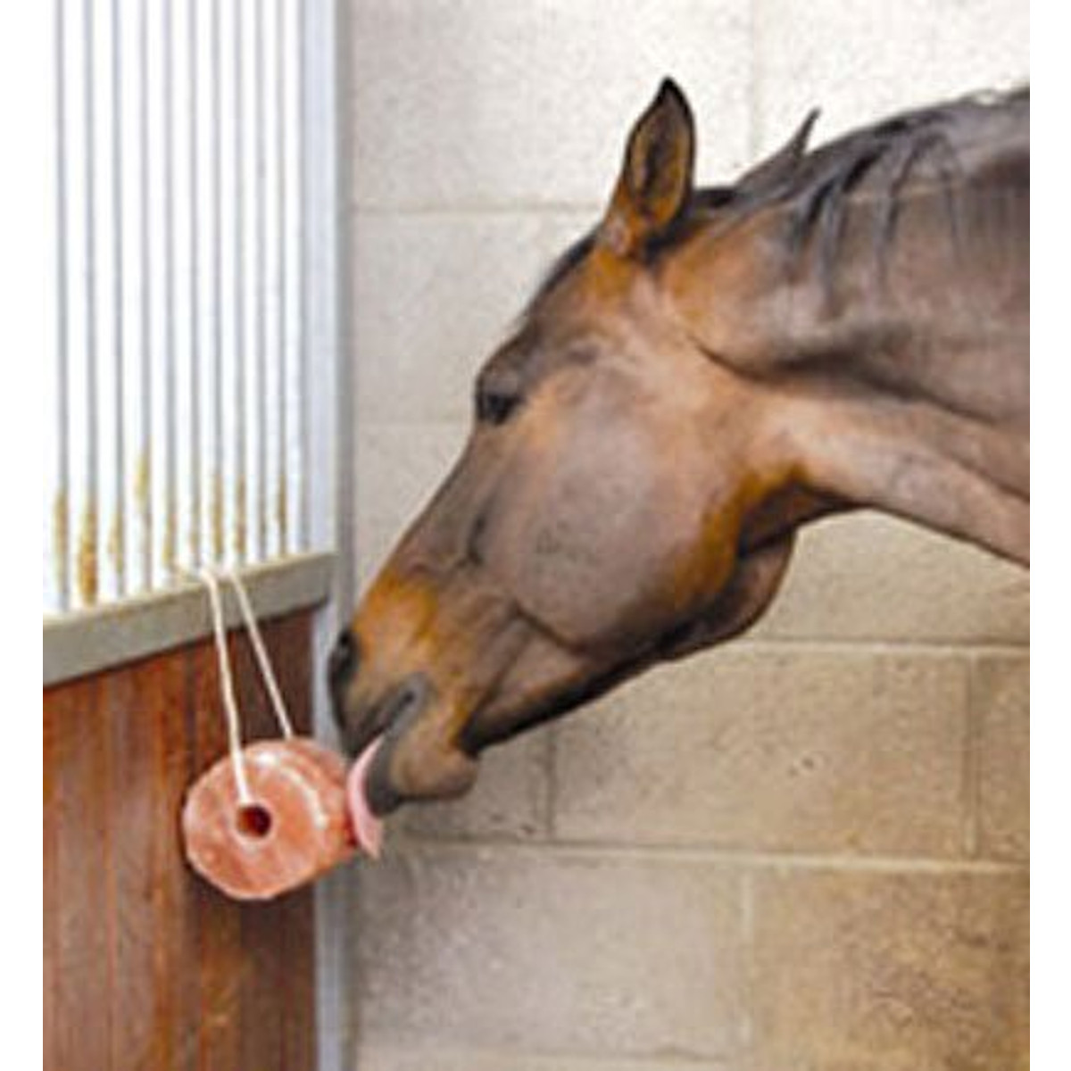 Himalayan Salt Licks Hanging 5 lb w/Rope for Horse, Equine, Cattle, Livestock, Llama, Goat, and/or Sheep