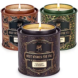 3 Pack Scented Candles Gifts Set for Women, Christmas Candles for Home Scented Soy Jar Candles for Mom with Strongly Fragrance for Aromatherapy Candle