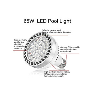 Broadroad LED Pool Light Bulb 120V 65W Daylight White 6000K Swimming Pool 6000LM Pool Light Bulb Replacement for Most Pentair Hayward Light Fixtures (Pool 65W)