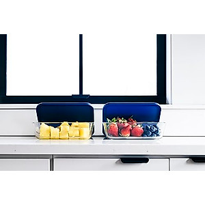 DURA LIVING 4-Piece Glass Food Storage Container (2 Containers + 2 Lids) | 11-Cup Rectangular, Leakproof | Microwave, Freezer, Oven & Dishwasher Safe | Ideal for Meal Prep & Pantry Organization