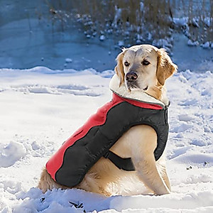 EMUST Winter Dog Jackets,Adjustable Dog Winter Clothes with Leash Ring,Reflective Small/Medium/Large Cold Weather Dog Coat, 6 Colors 6 Sizes (L, Red)