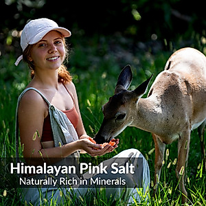Himalayan Nature 100% Natural Solid Mineral Rock Salt - Salt Mineral Chunks animals