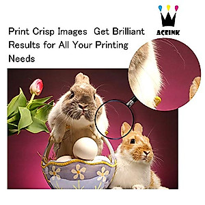 AceInk Compatible LC3019 XXL 2 Packs Black Ink Cartridges for Brother LC3019 Work with Brother MFC-J5330DW, MFC-J5335DW, MFC-J6530DW, MFC-J6730DW, MFC-J6930DW Inkjet Printer