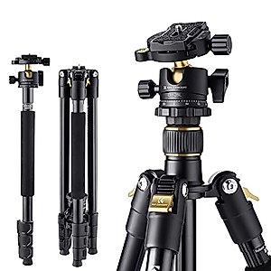K&F Concept 64 inch/161cm Camera Tripod, Compact Aluminum Alloy Travel Tripods with 28mm Metal Ball Head 10KG/22lbs Load Capacity, Detachable Monopod, for SLR DSLR Digital Camera(B234A1+BH-28L)