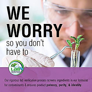 SOLARAY Glucosamine Chondroitin Hyaluronic Acid | Healthy Joint Comfort & Mobility with Vitamin C | 30 Serv, 90 VegCaps