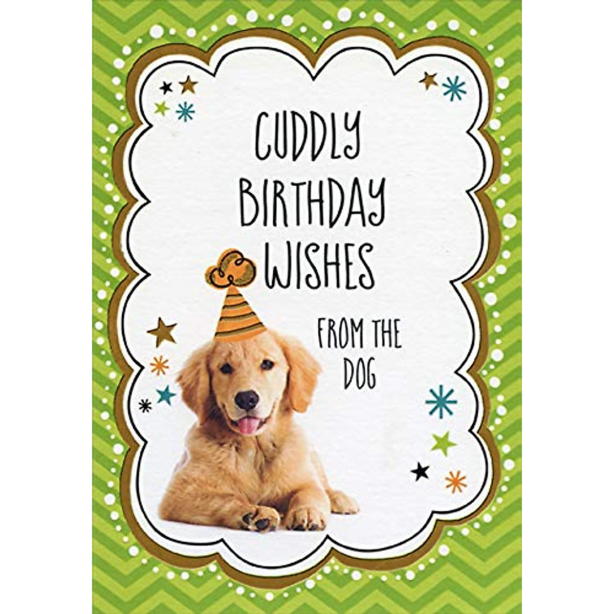 Designer Greetings Cuddly Wishes Golden Retreiver in Hat Birthday Card from The Dog
